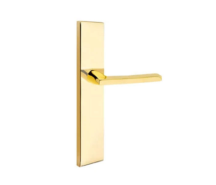 Keyed 2" x 10" Modern Rectangular Multipoint Trim with Helios Lever ...